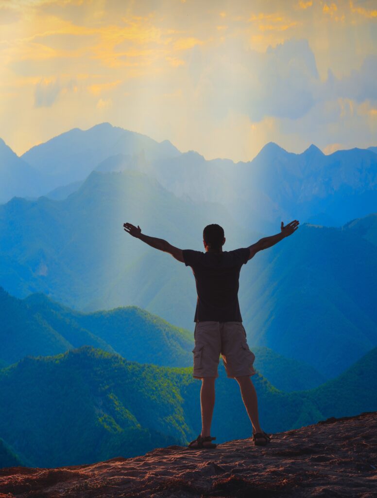 Champion Masterpiece Landing - Ron Williams Champion