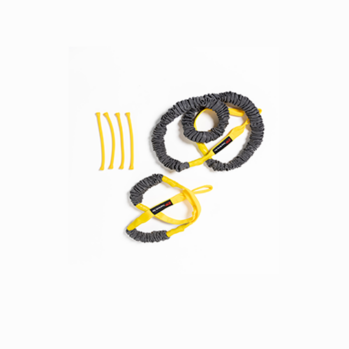 Iron Chest Master Training Program - Ron Williams Champion